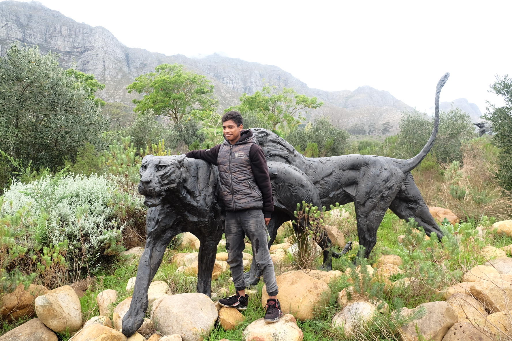 Reflections on the Dylan Lewis art tour - Light From Africa Foundation